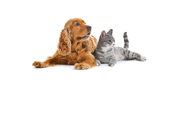 Destock Land - Tout pour la maison à prix cassé ! (toute l'année)